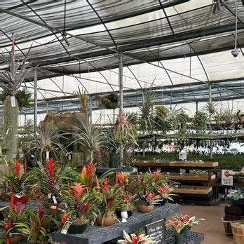 Rainforest Flora Updated January 2026 331 Photos And 157 Reviews