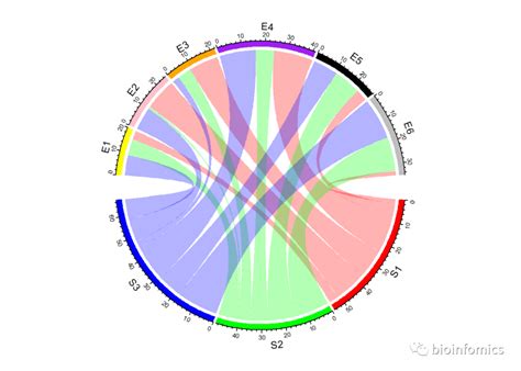 R语言可视化（二十四）：和弦图绘制 墨天轮