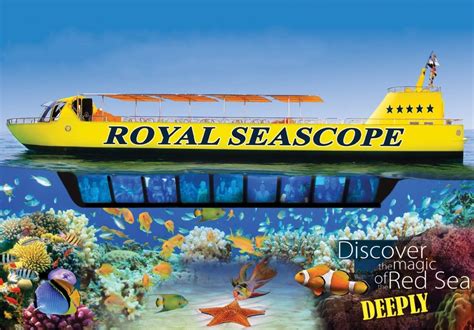 Royal Sea Scope Submarine Experience From Dahab Musement