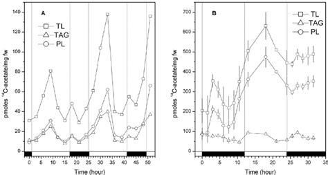 Incorporation Of 14 C Acetate Into Lipids Of Developing Sunfl Ower