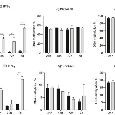 Pd L1 Methylation And Mrna Expression In Nsclc Cell Lines A Dna