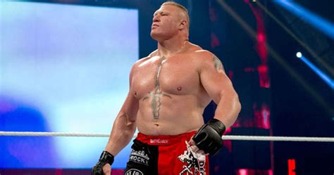 Brock Lesnar Was To Have Gay WWE Character TheSportster