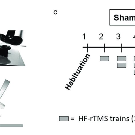 high frequency rtms hf rtms stimulation and experimental design a