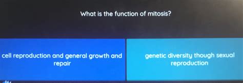 Solved What Is The Function Of Mitosis Cell Reproduction And General Growth And Genetic