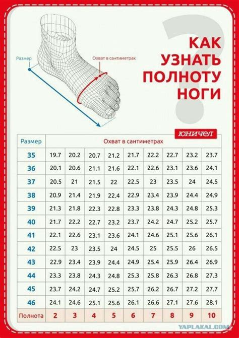 Pin by Леонардо Дайвинчик on сет | Crochet shoes pattern, Crochet baby ...