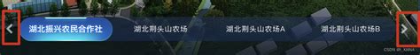 【vue】自定义tab点击左右箭头可切换 vue2点击左右箭头展示 csdn博客
