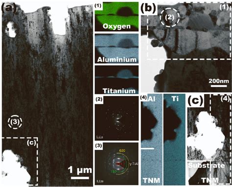 Cross Sectional Tem Bright Field Image Of The γ Tial Based Coating Download Scientific Diagram