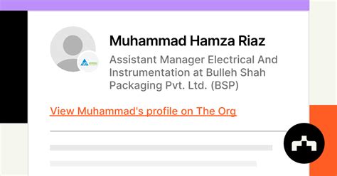 Muhammad Hamza Riaz Assistant Manager Electrical And Instrumentation