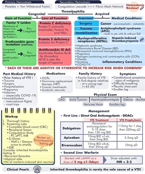 🩺 Understanding Thrombophilia Key Insights On Vte Venous