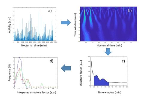 Flowchart Of The Wavelet Based Evaluation Of Nocturnal Activity Download Scientific Diagram