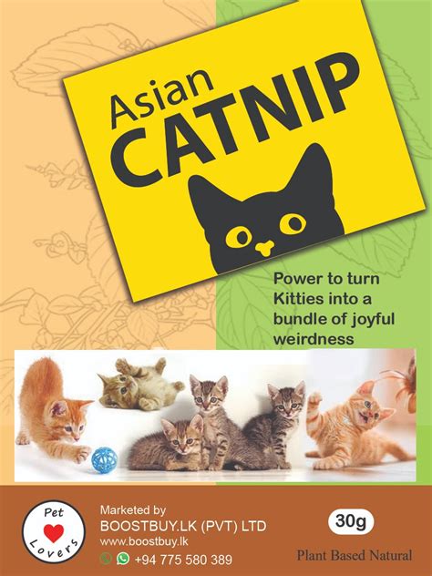 Catnip Leaves 100 Natural 30g Boostbuy