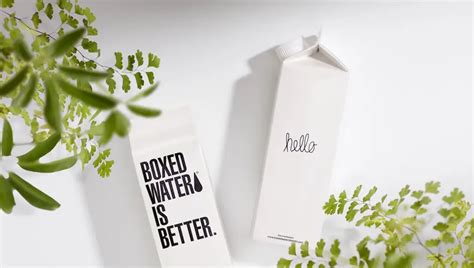 Are Trees Renewable Everyone Should Know This