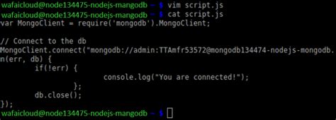 wafaicloud node js connection to mongodb