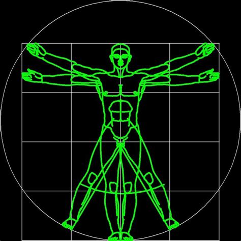 Vitruvio Man DWG Block For AutoCAD Designs CAD