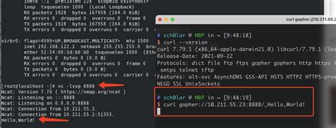 Ssrf Vulnerabilities And Exploitation Techniques Using The Gopher