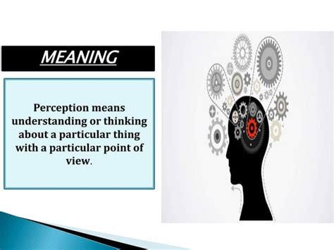 Perception And Consumer Behaviour Pptx