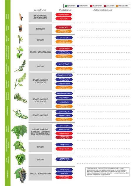 ვაზის სქემა Pdf
