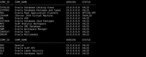 oracle 19c database registry components invalid oracledbwr