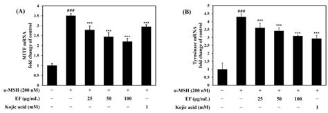 Ethyl Acetate Fraction From A Catalpa Ovata G Don Extract Inhibits ɑ Msh Induced Melanogenesis