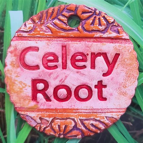Celery Root Garden Charm Night Light Designs