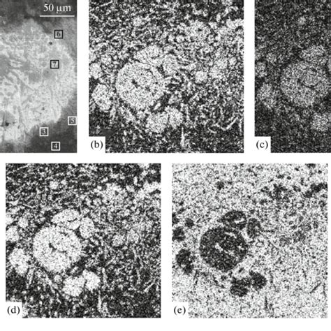 A Sem Image Secondary Electron Mode Of Coarse Conglomerate And Download Scientific Diagram