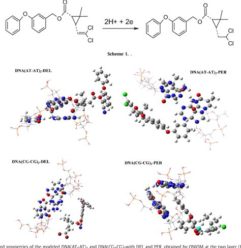 Figure 4 From Proposed Model For Binding Of Permethrin And Deltamethrin Insecticides With Ct Dna