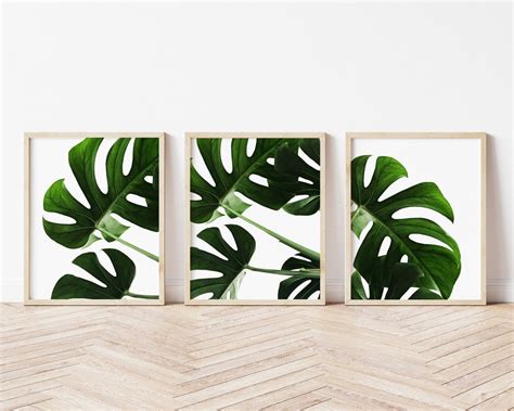 Monstera Leaf Print Set Of 3 Wall Art Wall Art Poster Printable