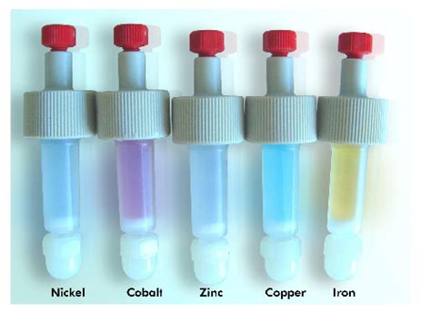 Immobilized Metal Ion Affinity Chromatography Imac Principle And Applications Bio Resource