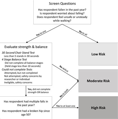 Operationalisation And Validation Of The Stopping Elderly Accidents