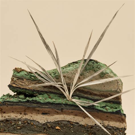 Dietary Resilience → Term