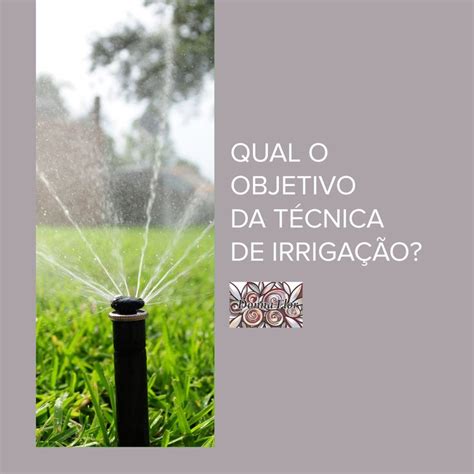 O Sistema de Irrigação Automatizado tem diversos obejtivos descubra os principais aqui conosco