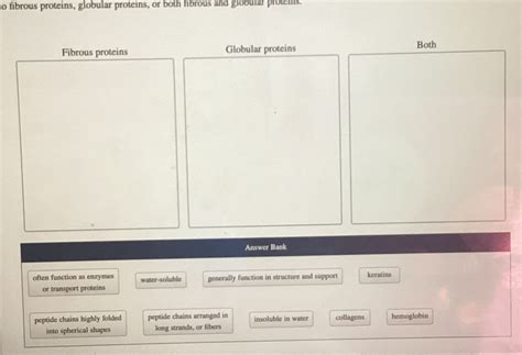 To Fibrous Proteins Globular Proteins Or Both