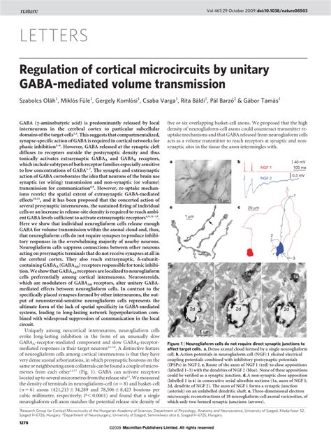 Pdf Regulation Of Cortical Microcircuits By Unitary Gabaergic Volume