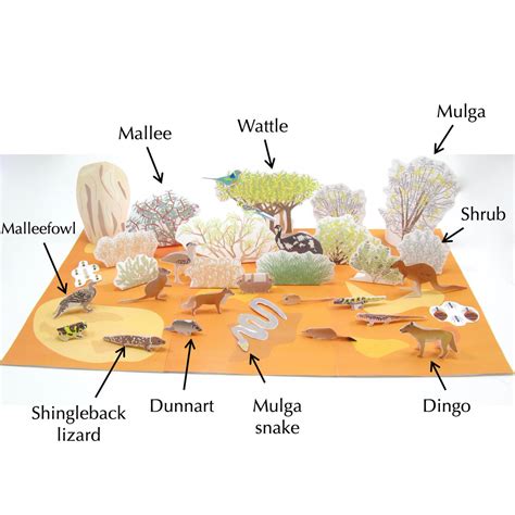 Australian Scrublands Ecosystem Origami Organelles