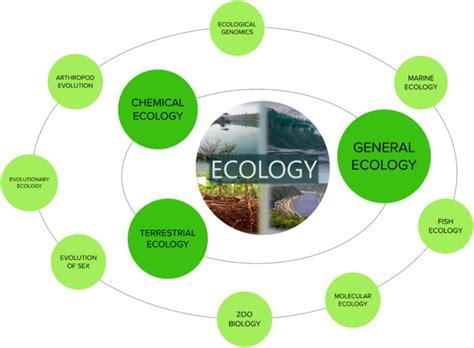 Ecology And Ecosystem