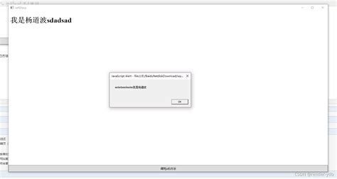 Wpf中使用cefsharp加载本地html网页并实现cs和js的交互并且cefsharp支持any Cpucefsharp 本地图片