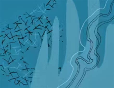 Net Full Stack Foundation Coursera