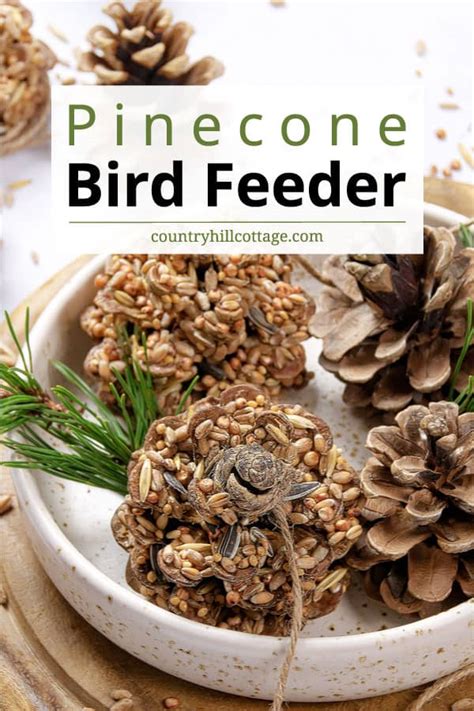Pinecone Bird Feeder With And Without Peanut Butter