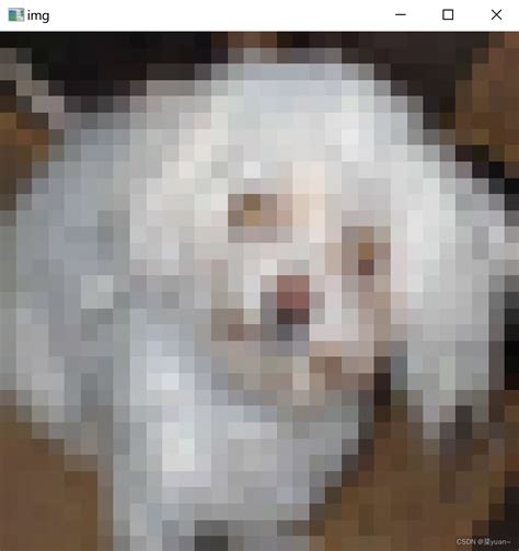 Python与深度学习十cnn和cifar10二