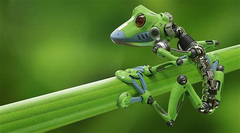 Frog Dna