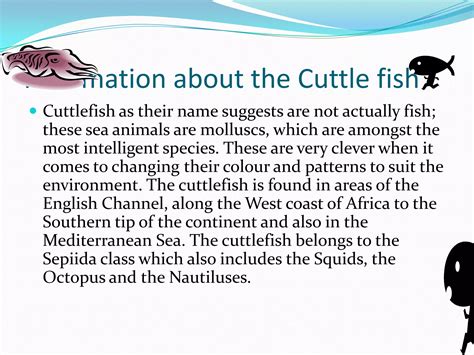 Cuttle Fish Pptx