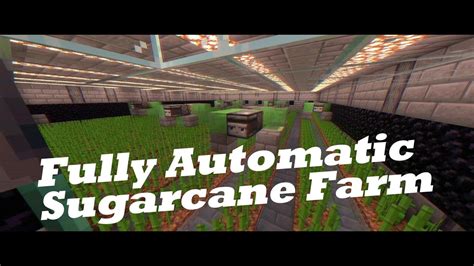 Fully Automatic Sugarcane Farm Java 1213 Youtube