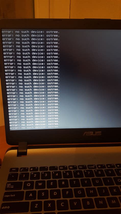 Urgent Help Needed How To Boot Computer After Error No Such Device Ostree Help Endless Os