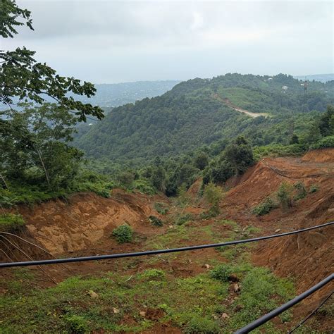 Undp Georgia 🌳 რუსთაველი ახალგაზრდები და ადგილობრივი არასამთავრობო ორგანიზაციები ქალაქის