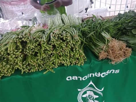 เกษตรกรจริงจริง ตลาดเกษตรกรจังหวัดชัยนาท