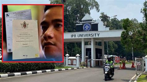 Sosok Meilanie Buitenzorgy Dosen Ipb Sebut Pendidikan Wapres Gibran