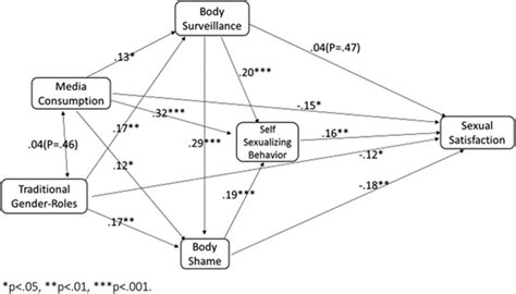 Path Coefficients For The Structural Model Download Scientific Diagram