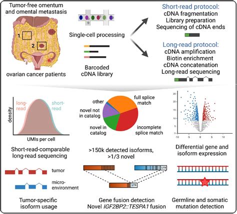 Detection Of Isoforms And Genomic Alterations By High Throughput Full