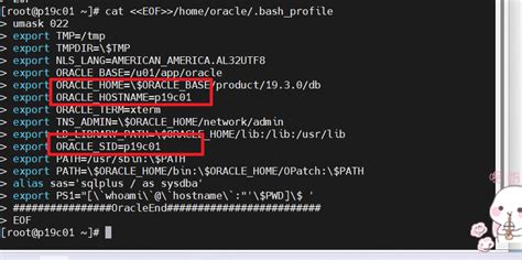 oracle rac 集群的安装（保姆级教程） csdn博客
