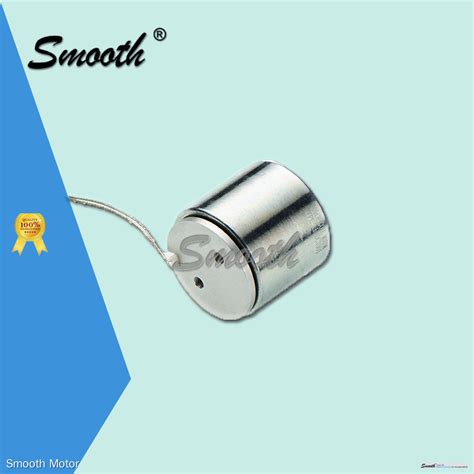 Top Smooth Stepping Motor Supply Smooth Motor